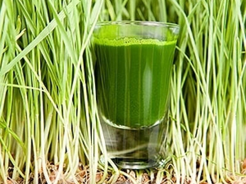 Cevada verde retarda o envelhecimento e melhora o sistema imunológico ...