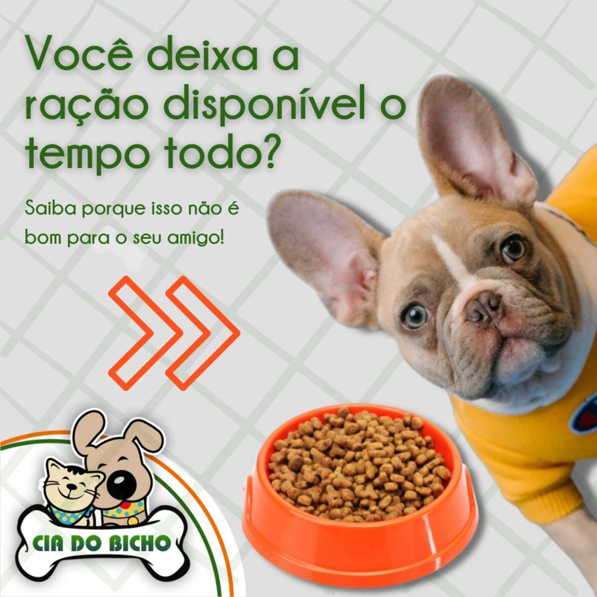 Você deixa a ração disponível o tempo todo?, veja as dicas da Cia do ...