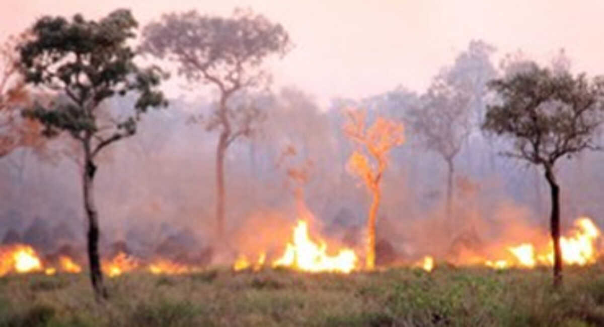 Queimadas controladas estão suspensas a partir desta segunda em MS ...