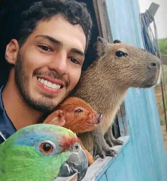 Reviravolta: Capivara filó não será mais apreendida e o influenciador ...