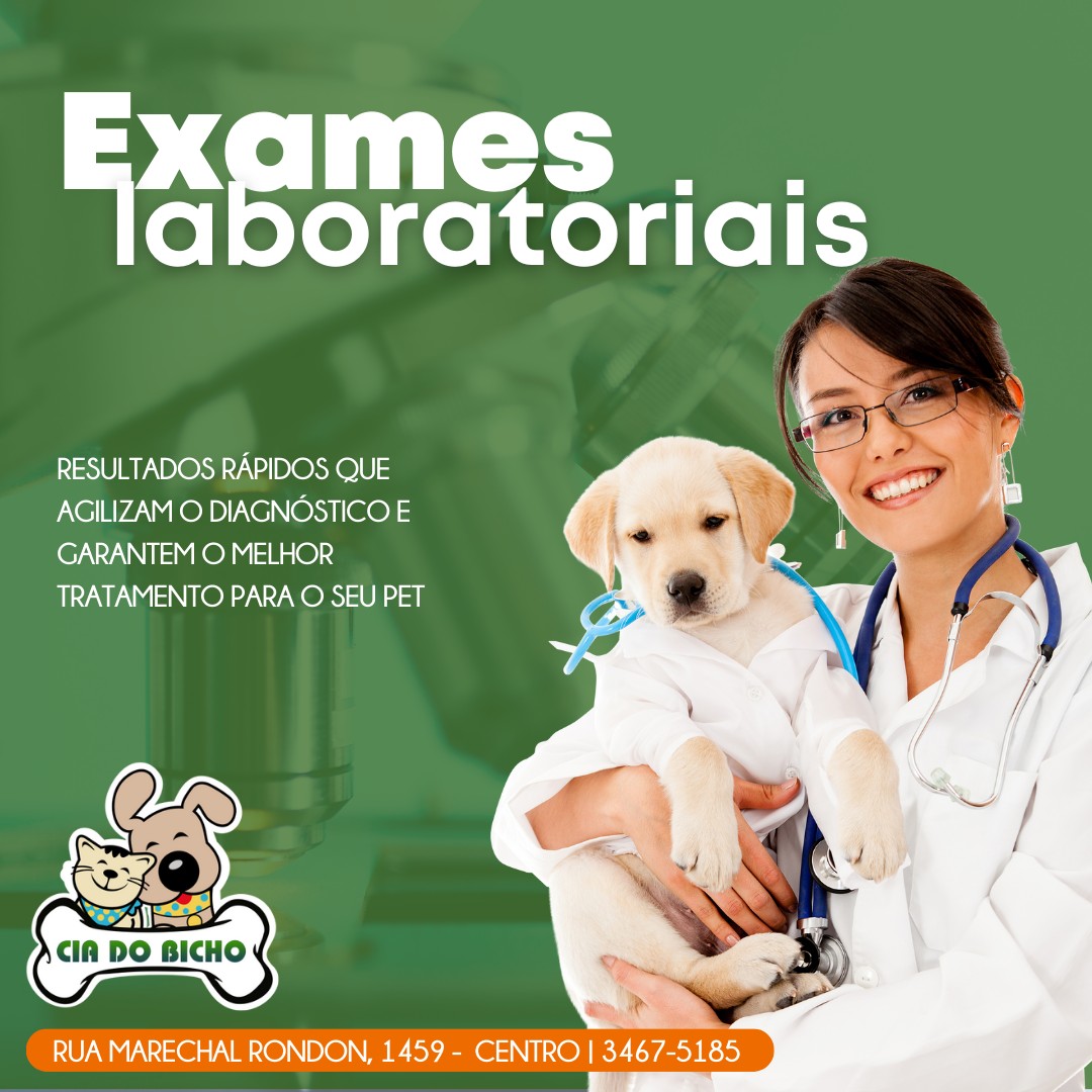 Na Cia do Bicho os exames são realizados durante as consultas e os ...